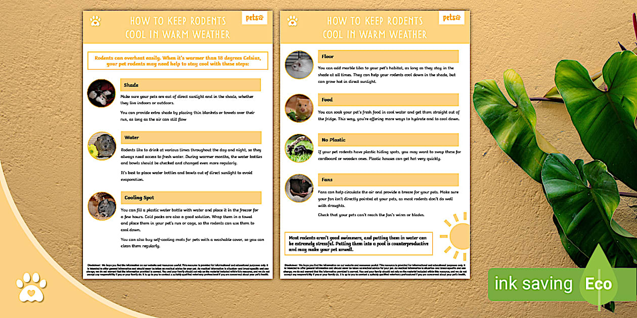 How to Keep Rodents Cool - Information Sheet (Teacher-Made)