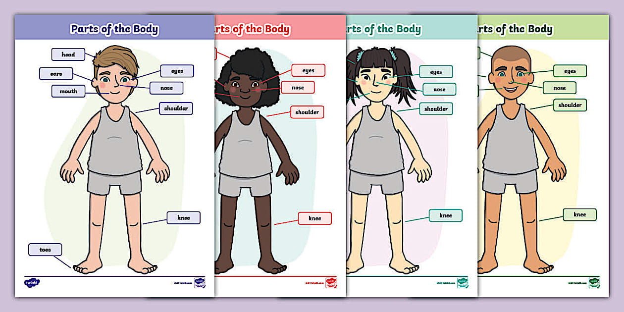 Cursive Parts of the Body Head And Shoulders (A4) Labelling Sheet