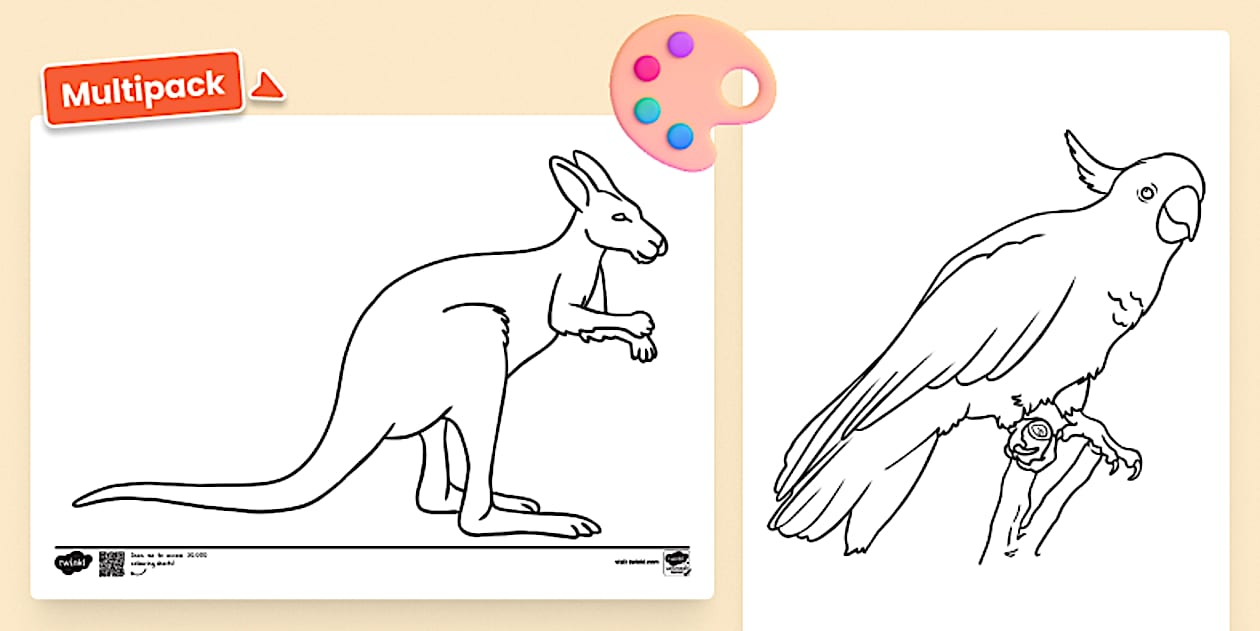 Australian Animals Colouring Sheets - Classroom Resource - Twinkl