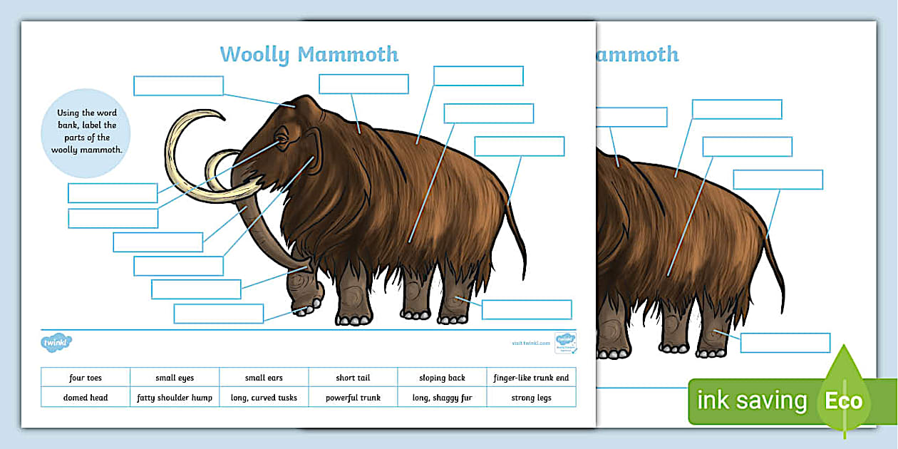 Woolly Mammoth Labelling Activity - KS2 - Prehistoric Beasts