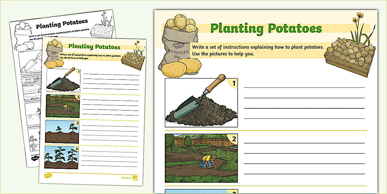 Planting Potatoes Instruction Writing Template - Twinkl