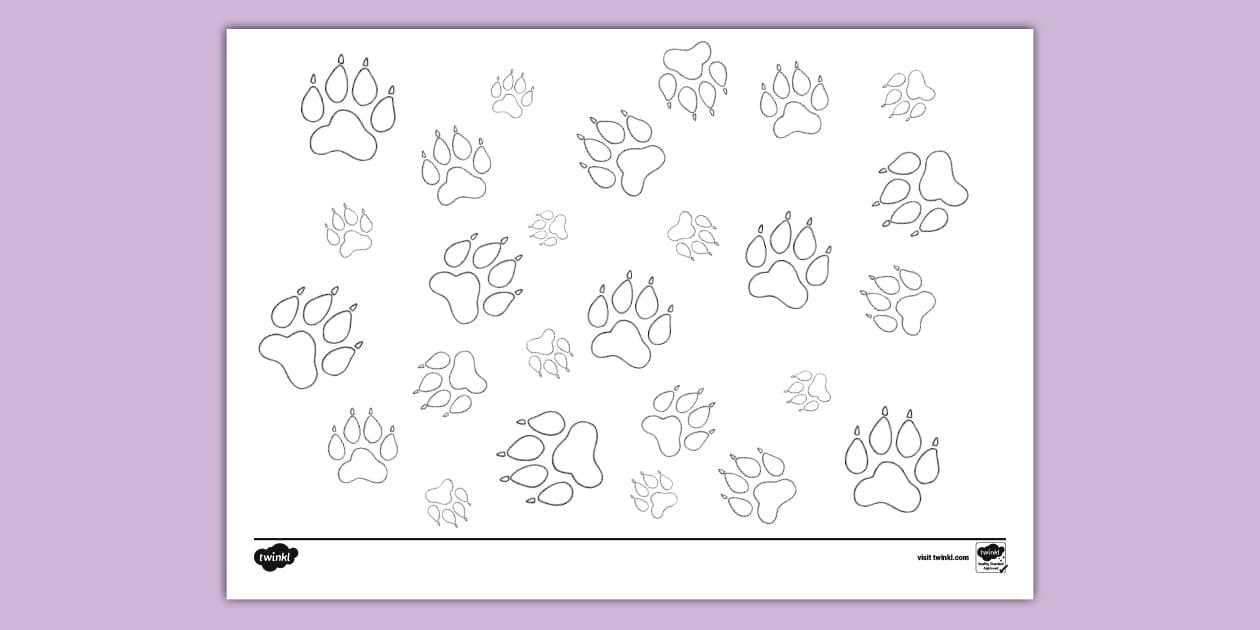 Paw Prints Colouring Sheet | Colouring Sheets - Twinkl