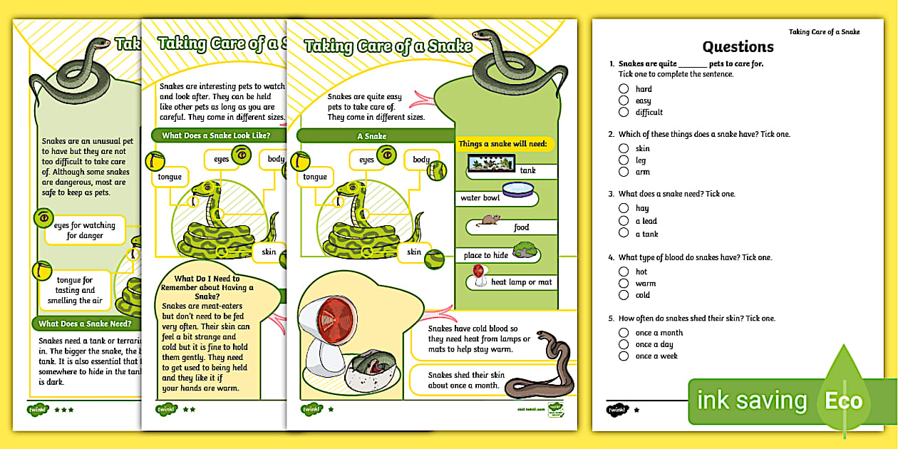 KS1 How to Look After a Snake Differentiated Reading Comprehension Activity