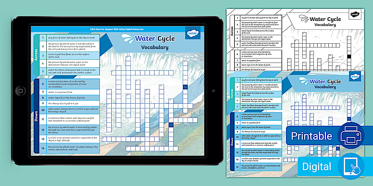 Water Cycle Vocabulary (teacher made) - Twinkl