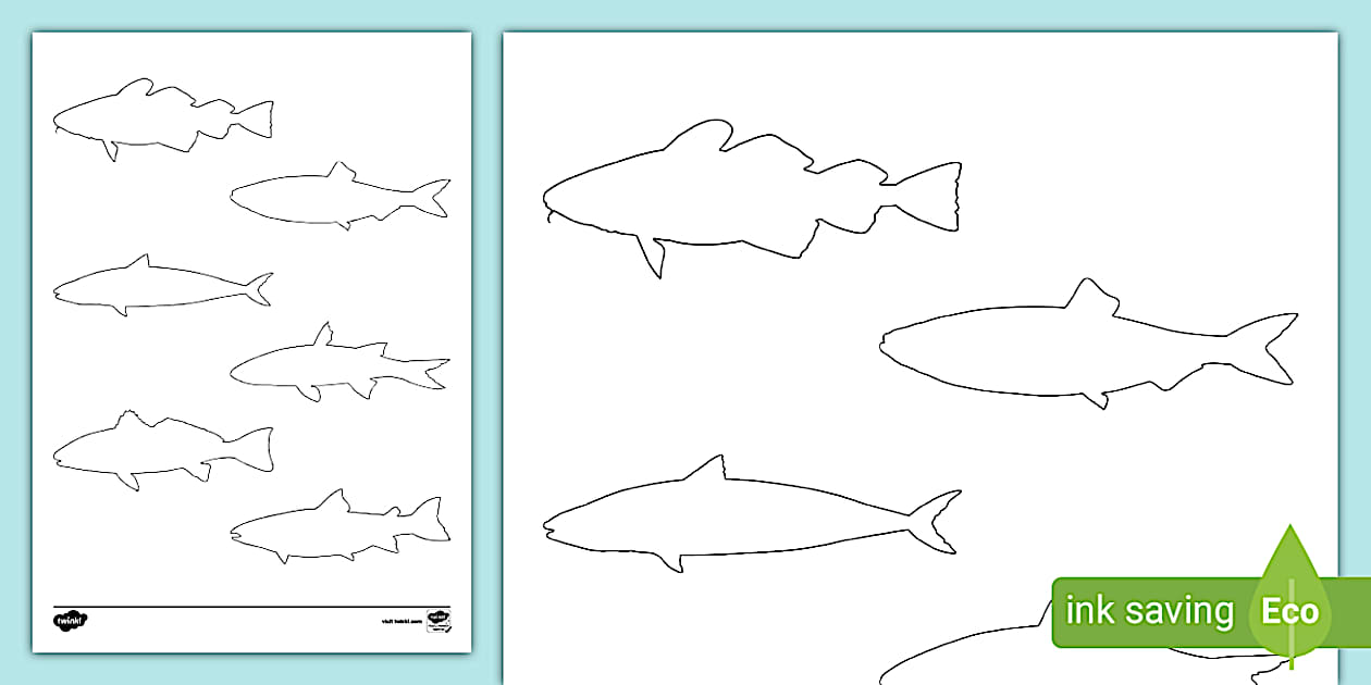 Small Fish Outlines (Teacher-Made) - Twinkl