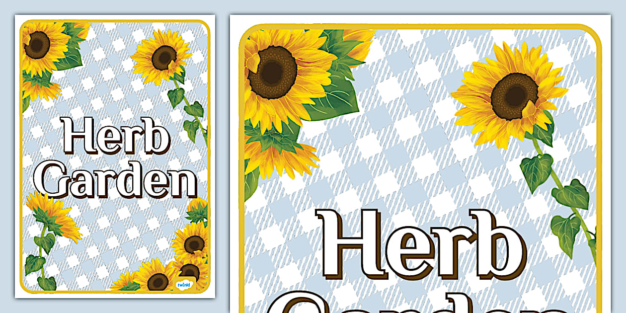 Sunflower-Themed Herb Garden Display Poster (Teacher-Made)