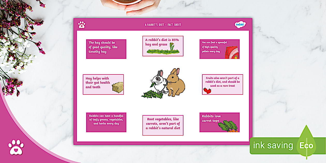 Rabbit's Diet - Rabbit Feeding Guide - Bunny Care - Pets