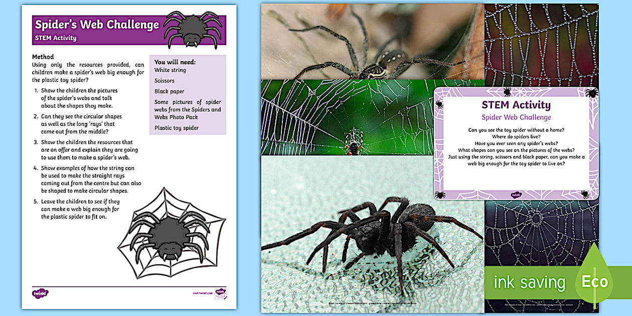 Spiders Web STEM Activity | Spider Web Lesson Plans - Twinkl
