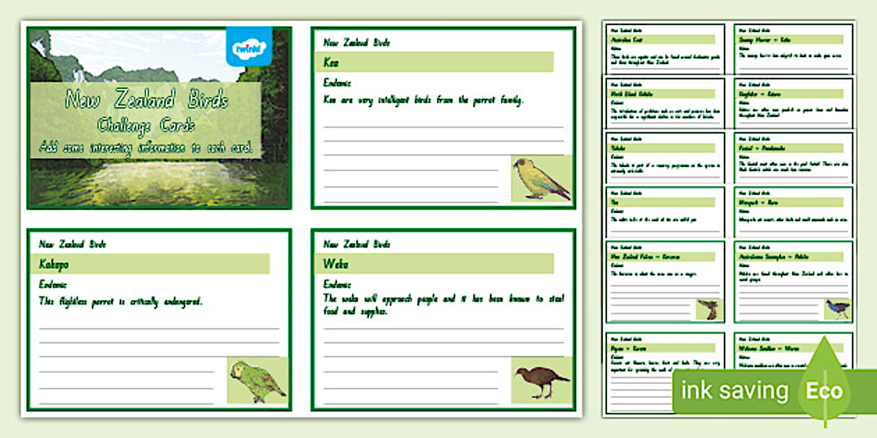 New Zealand Native and Endemic Birds Fact Cards