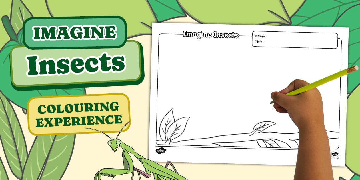 Imagine Insects - Colouring Experience