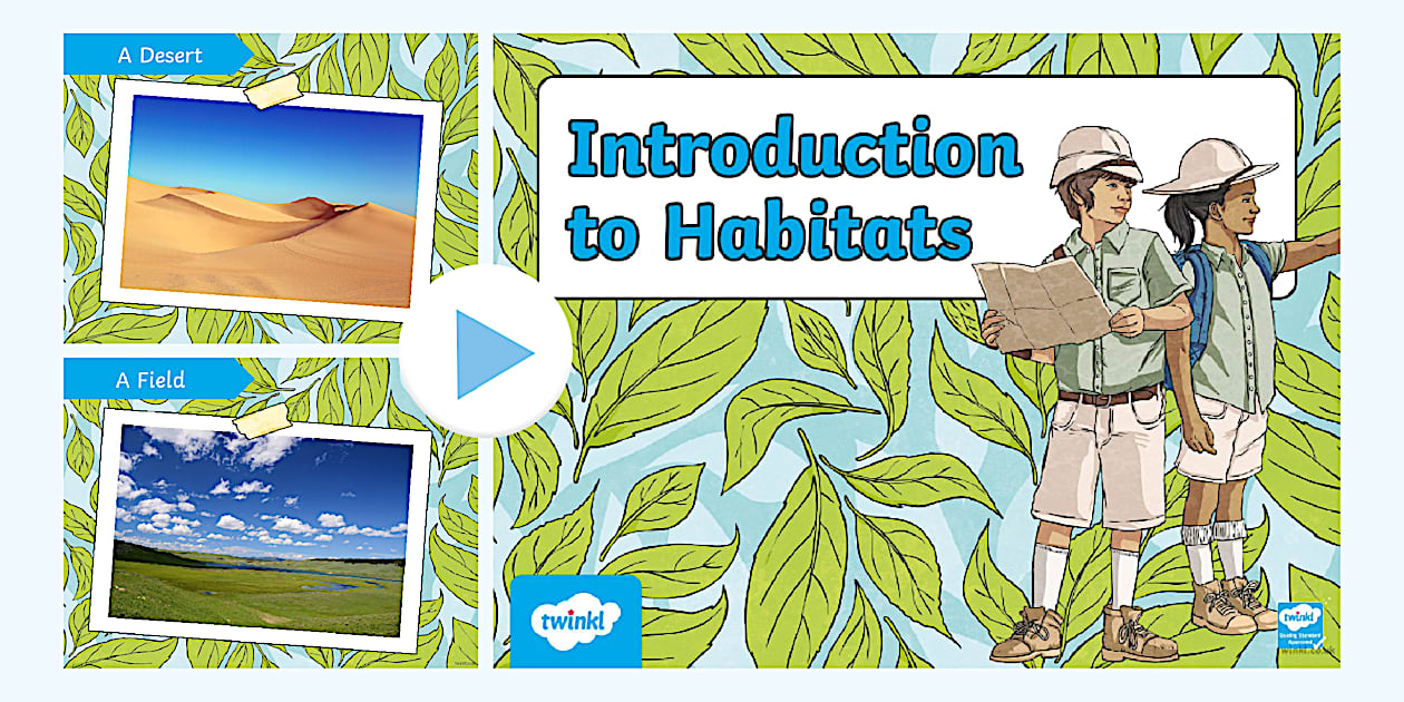 Introduction to Habitats PowerPoint | Animals and Habitats