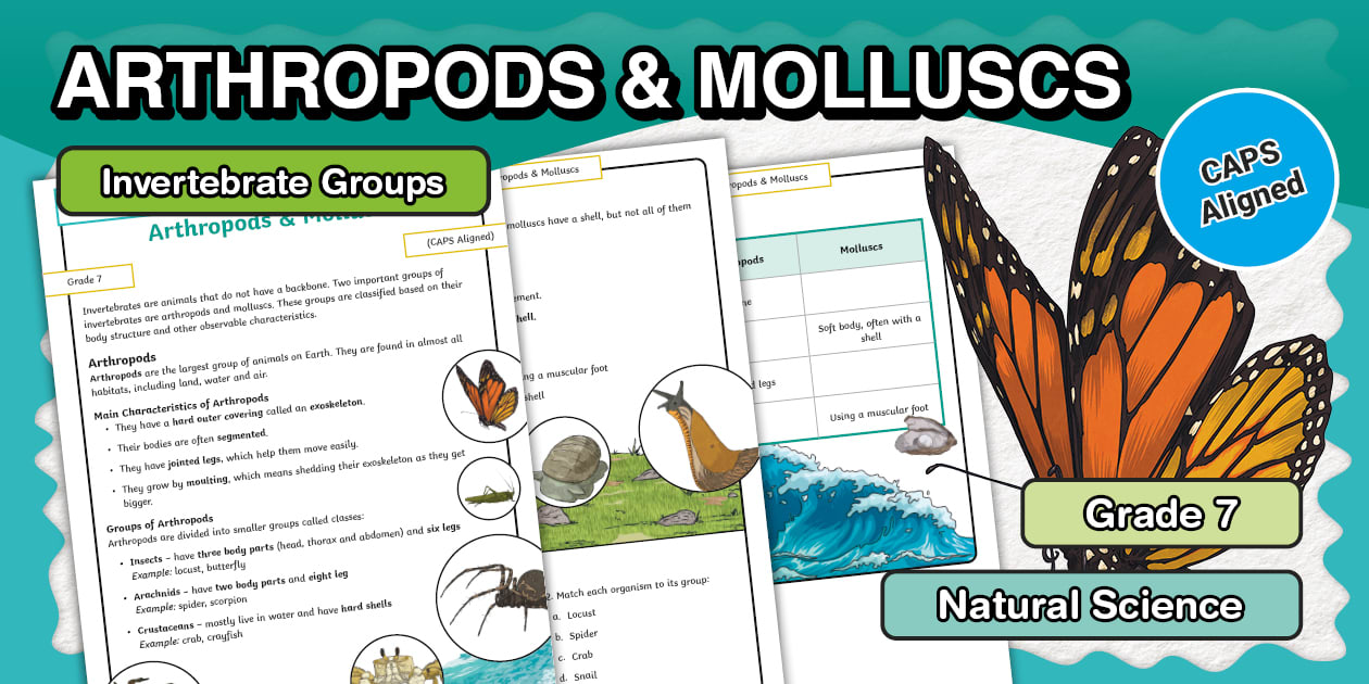 Gr7 NS Term 1 - Invertebrate Groups – Arthropods & Molluscs