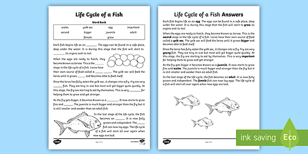 Life Cycle of a Fish Cloze Worksheet (teacher made) - Twinkl