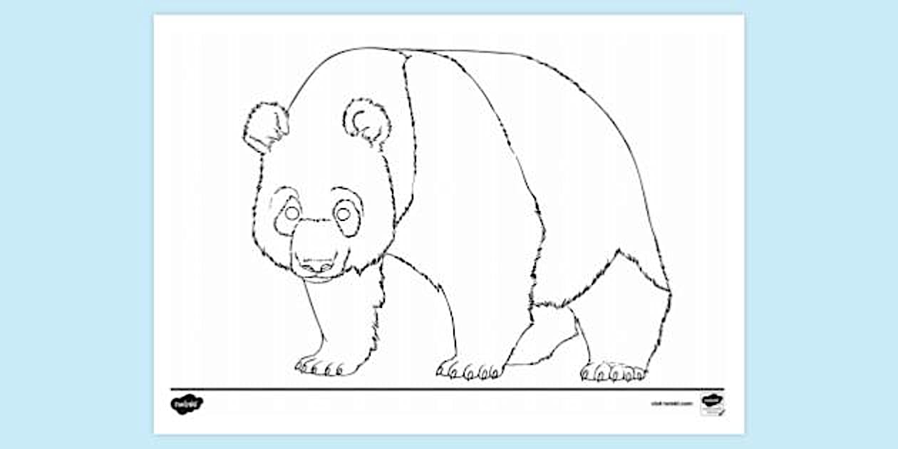 Panda Colouring Page - Parents - Colouring Pages - Twinkl