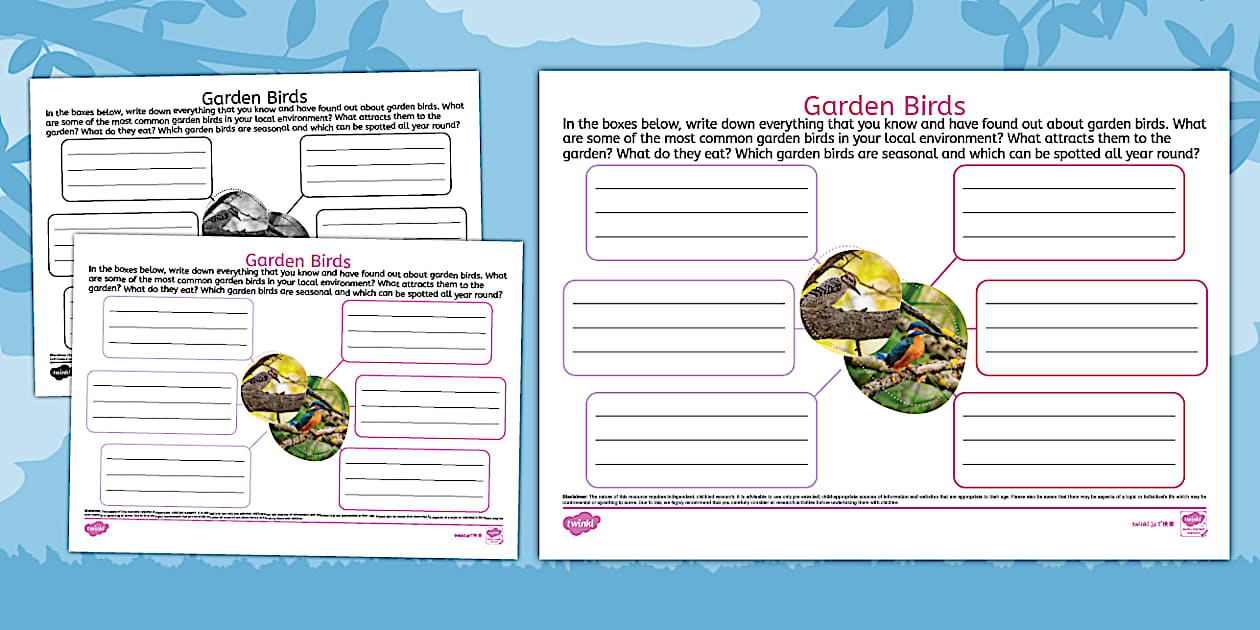 Garden Birds Mind Map (teacher made) - Twinkl