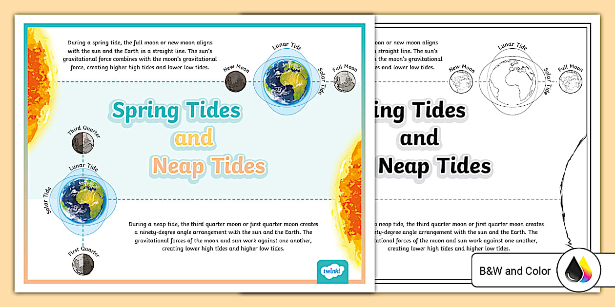 Spring Tides and Neap Tides Poster (teacher made) - Twinkl