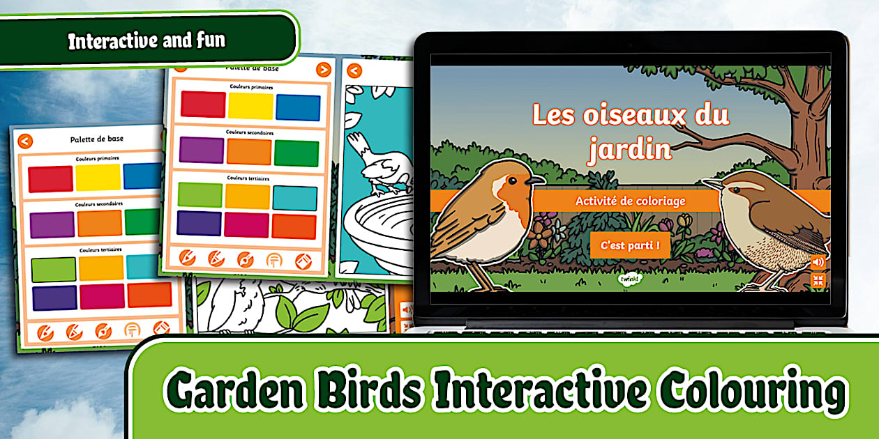 * NEW * Garden Birds Interactive Colouring