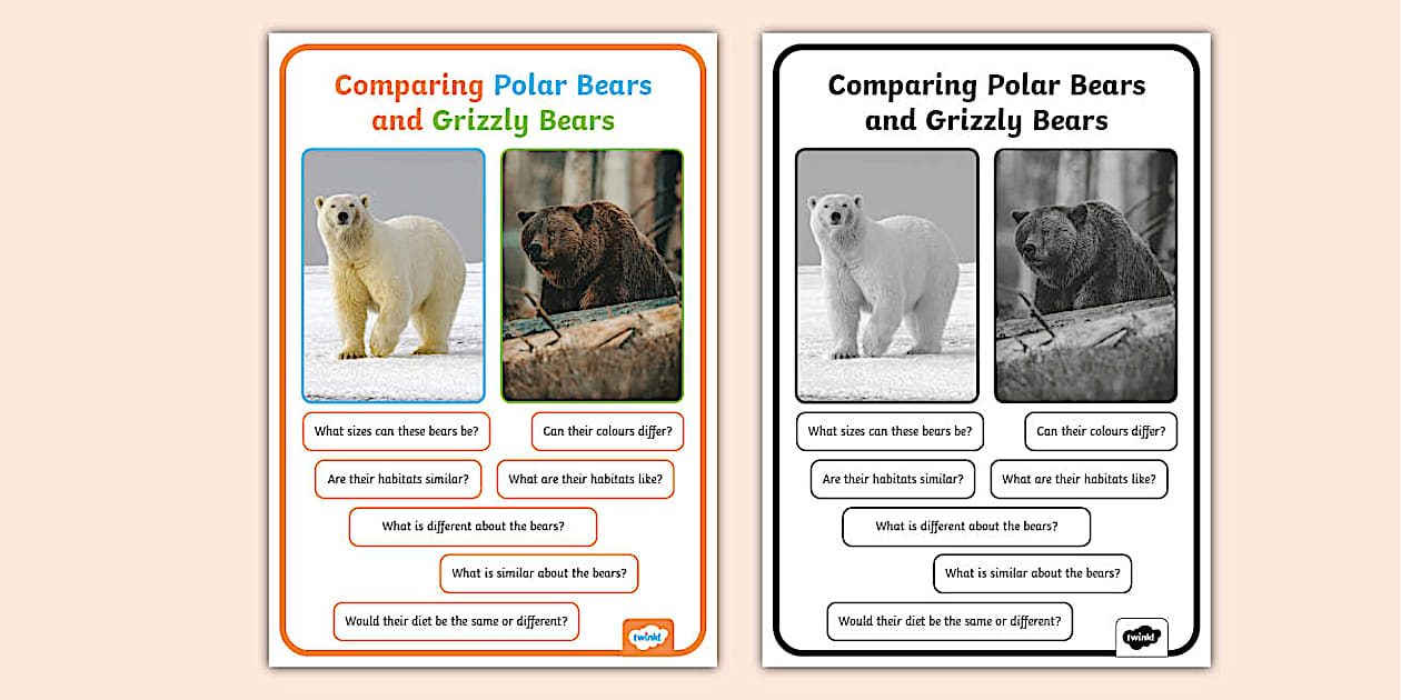 * NEW * Comparing Polar Bears and Grizzly Bears Discussion Prompt
