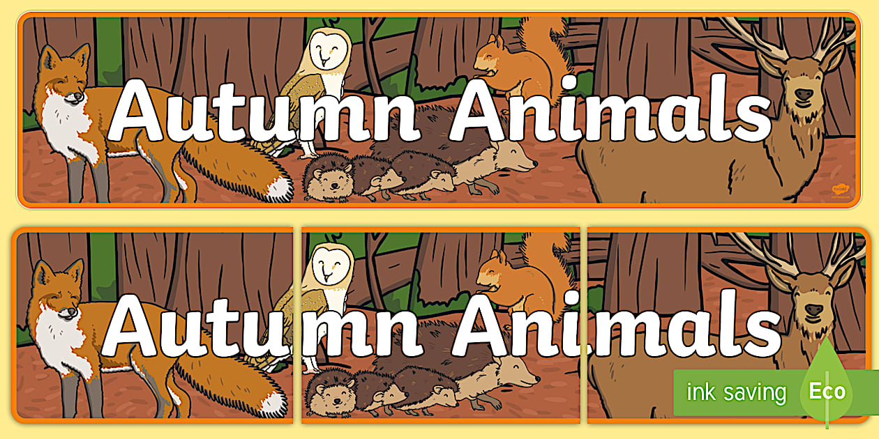 Autumn Animals Display Banner (teacher made) - Twinkl