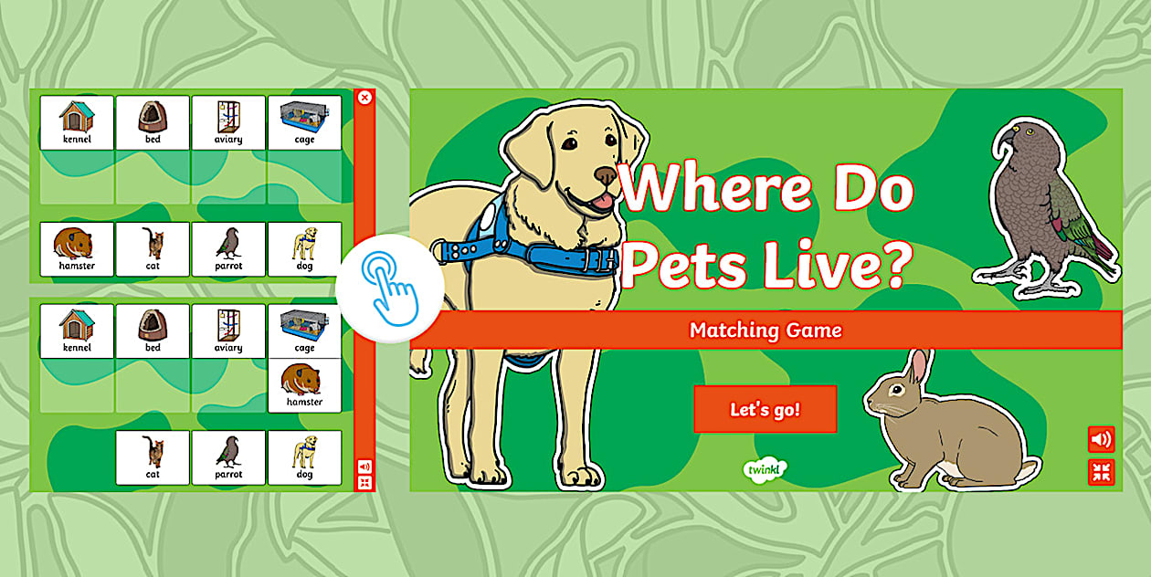 Where Do Pets Live? Interactive Matching Game (teacher made)