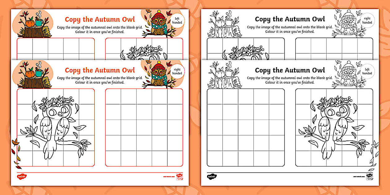 Copy the Autumn Owl Worksheet (Teacher-Made) - Twinkl