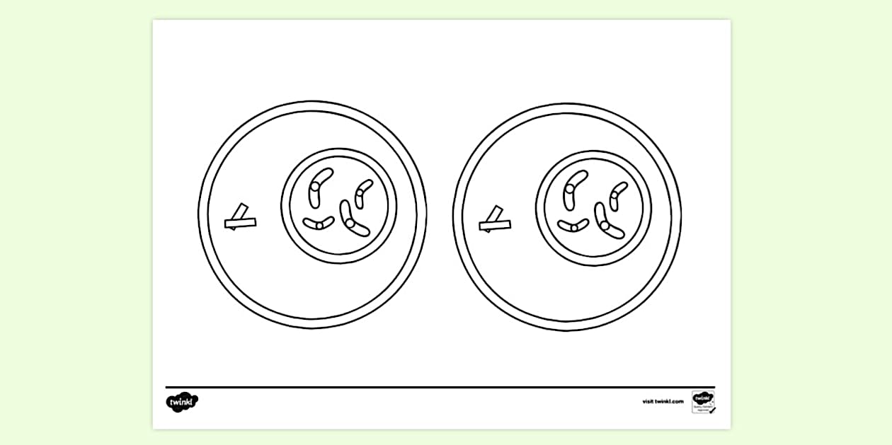 Mitosis Daughter Cells Colouring | Colouring Sheet - Twinkl