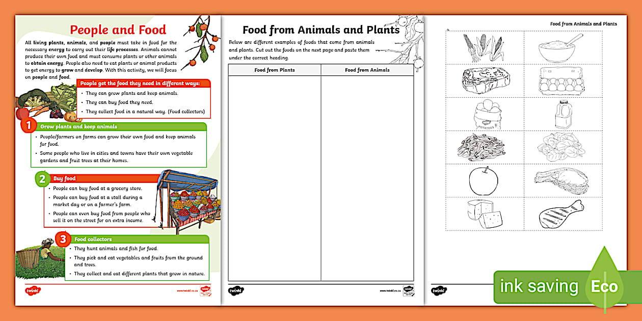Grade 4 - Social Science - People and Food Worksheet
