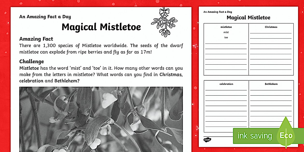 Editable Magical Mistletoe Worksheet (teacher made) - Twinkl