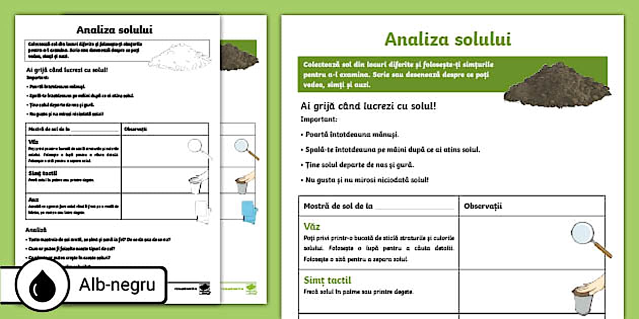 Analiza solului – Fișă de activitate practică - Twinkl