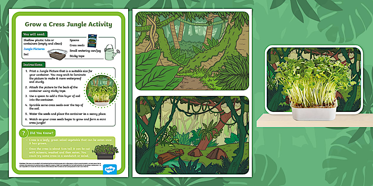 Grow a Cress Jungle Activity (teacher made) - Twinkl