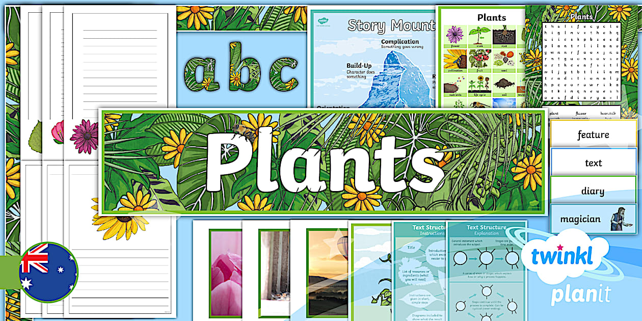 PlanIt English Year 3 Plants: Jack and the Beanstalk Display Pack