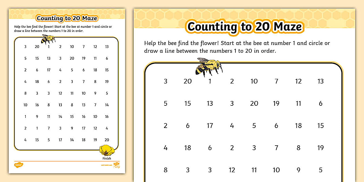 👉 Minibeasts Count to 20 Maze - Twinkl - KS1 - Twinkl