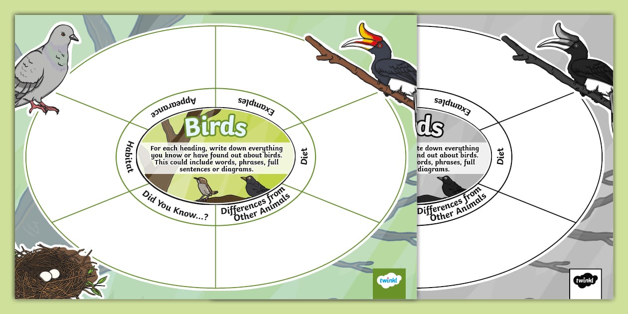 Birds Around the Table Activity (teacher made) - Twinkl