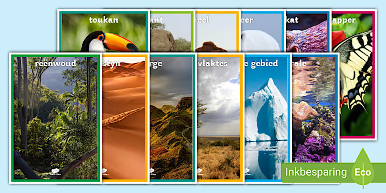 Diere Habitatte Vertoon Prente - Twinkl