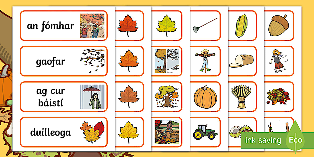 Autumn Topic Word Cards Gaeilge