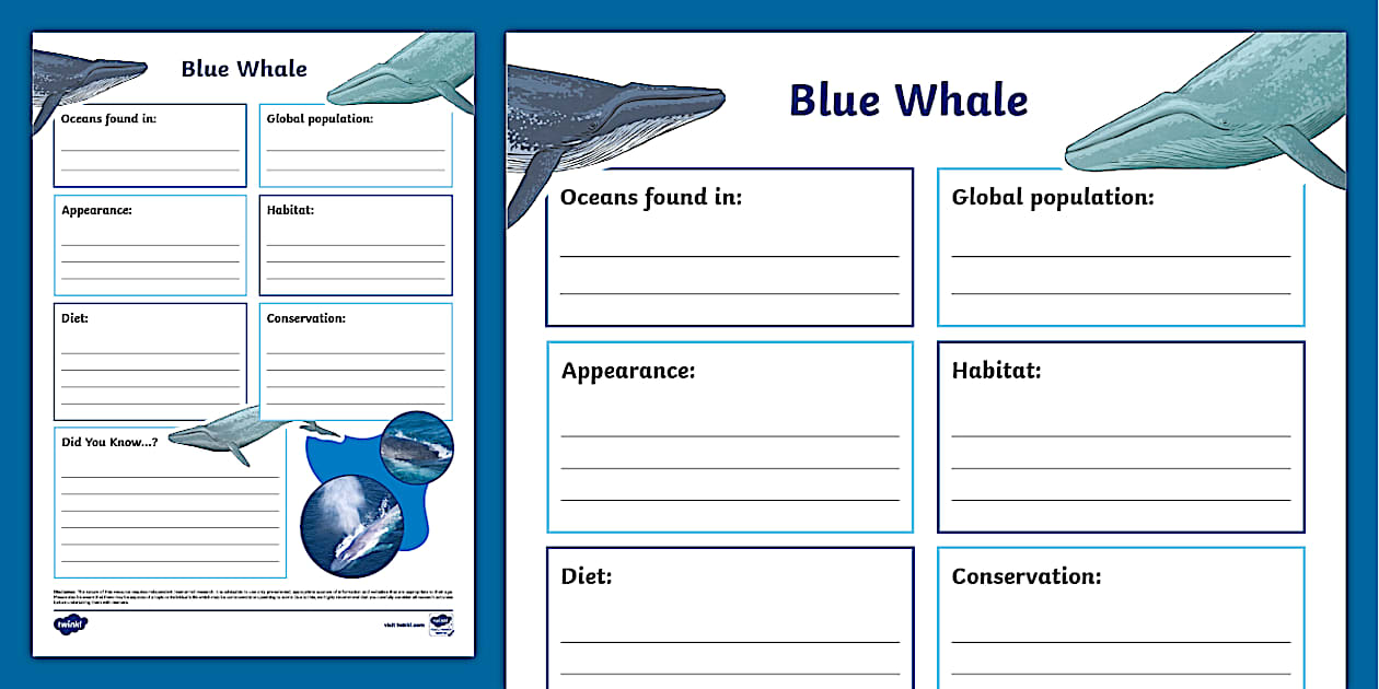 Blue Whale Fact File Template - Twinkl