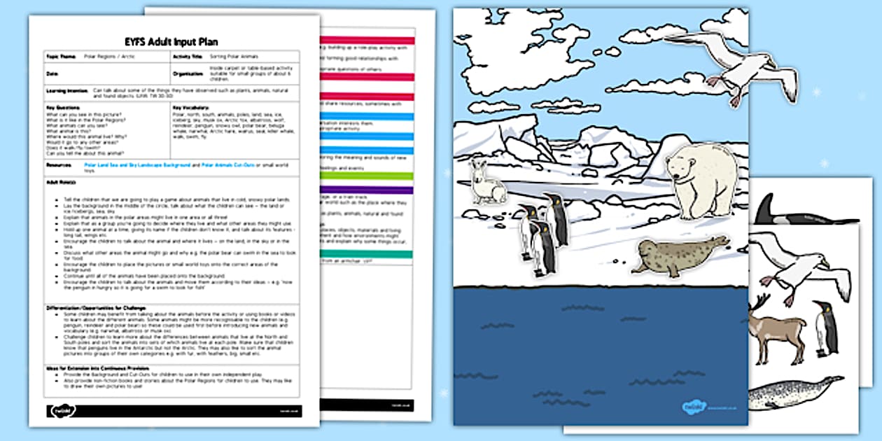 Sorting Polar Animals EYFS Adult Input Plan and Resource Pack