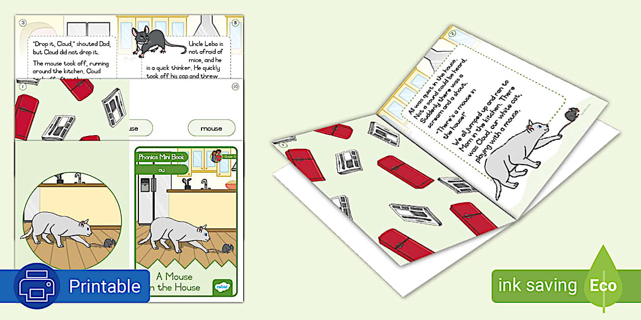 Grade 3 Mini Book -ou (Teacher-Made) - Twinkl