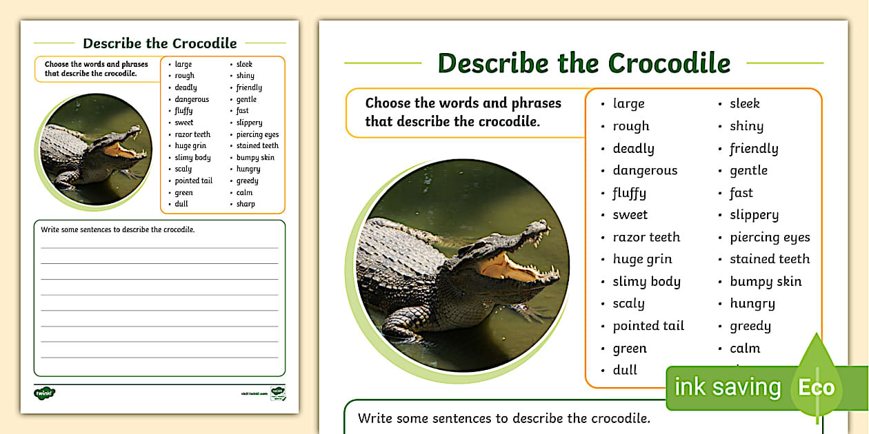 Describe the Crocodile Writing Worksheet (Teacher-Made)