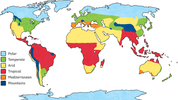 What is a Frog? - Answered - Twinkl Teaching Wiki