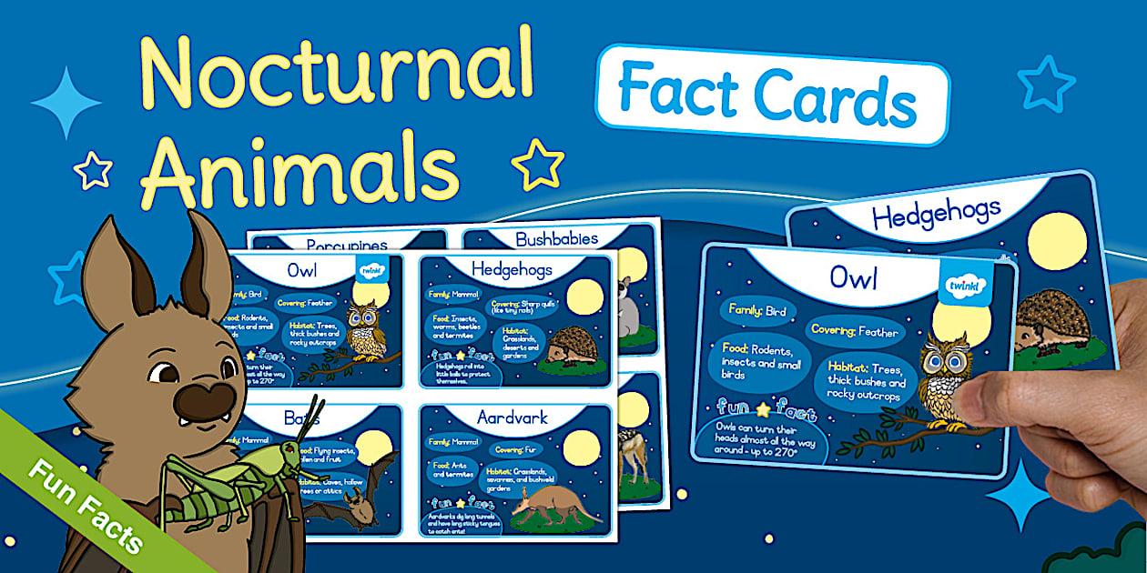 Gr 2: Life Skills: Life At Night: Fact Cards
