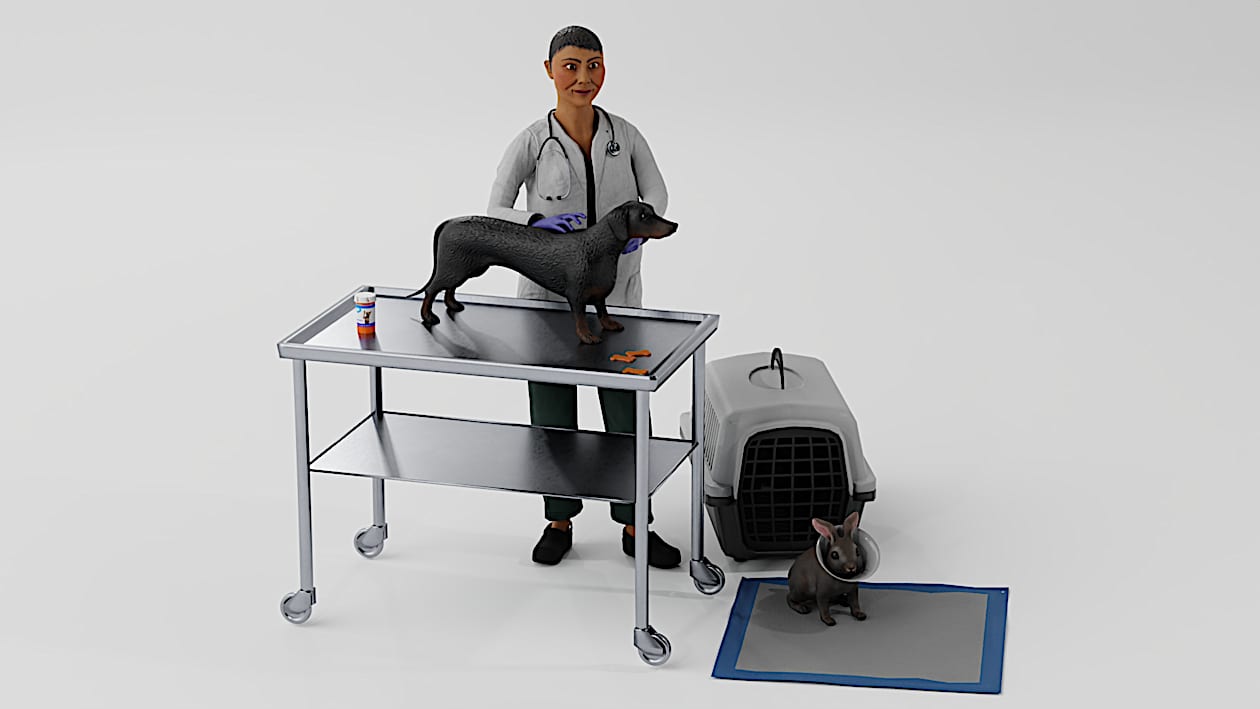 3D Model: People Who Help Us - Vet (teacher made) - Twinkl