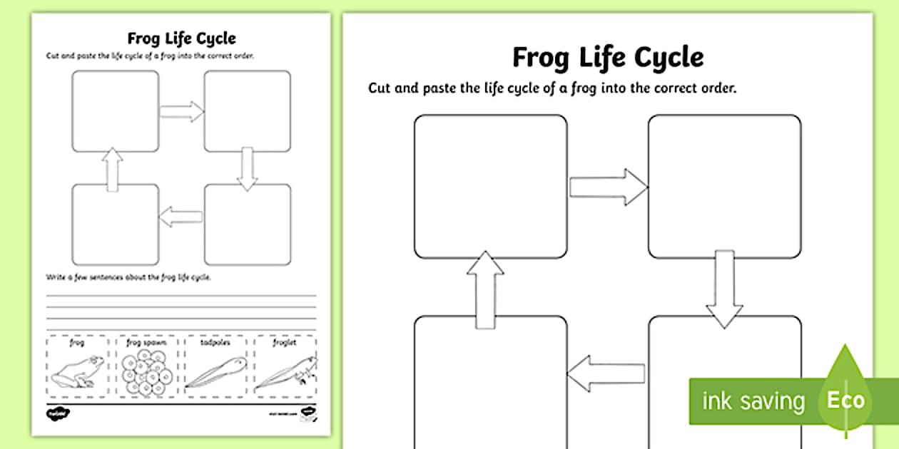 Frog Life Cycle Sentence Writing Worksheet (teacher made)