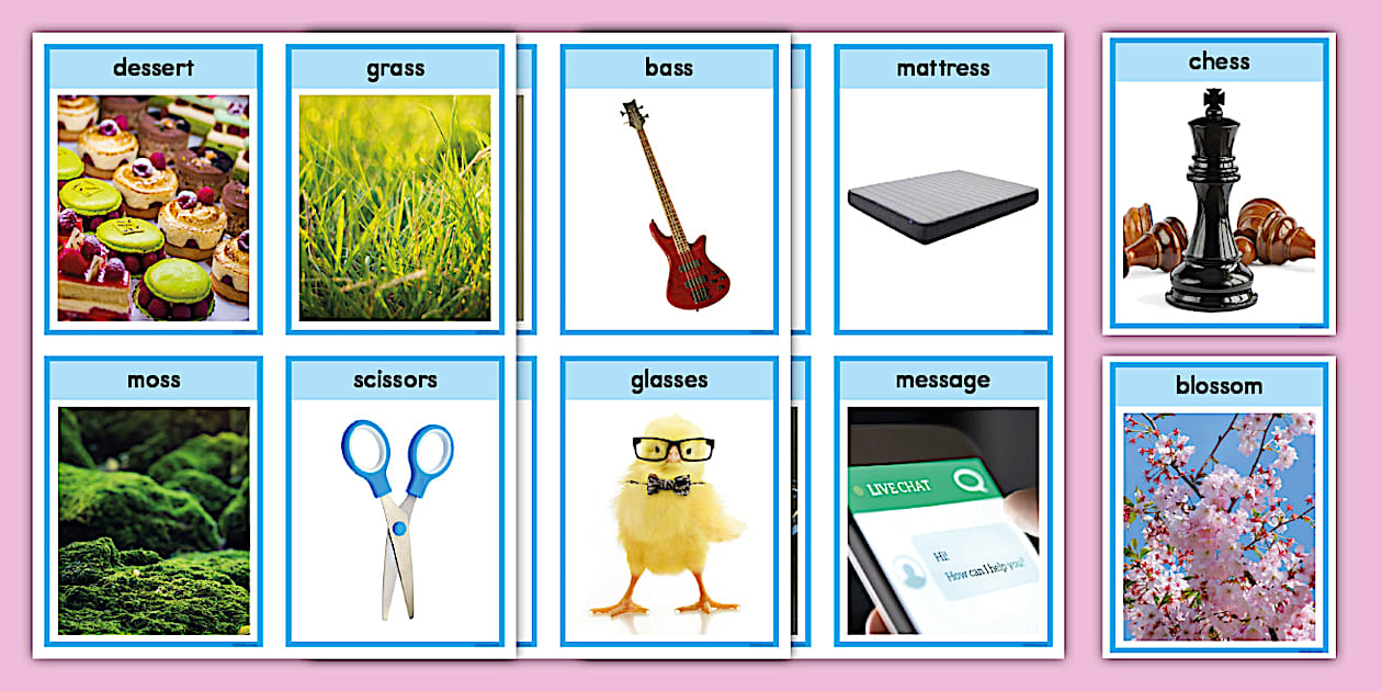 Words With ss Photo Flash Cards (teacher made) - Twinkl