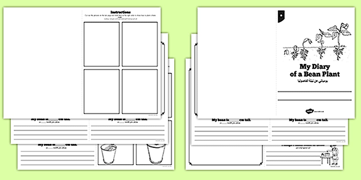 My Diary of a Bean Plant Arabic Translation (teacher made)
