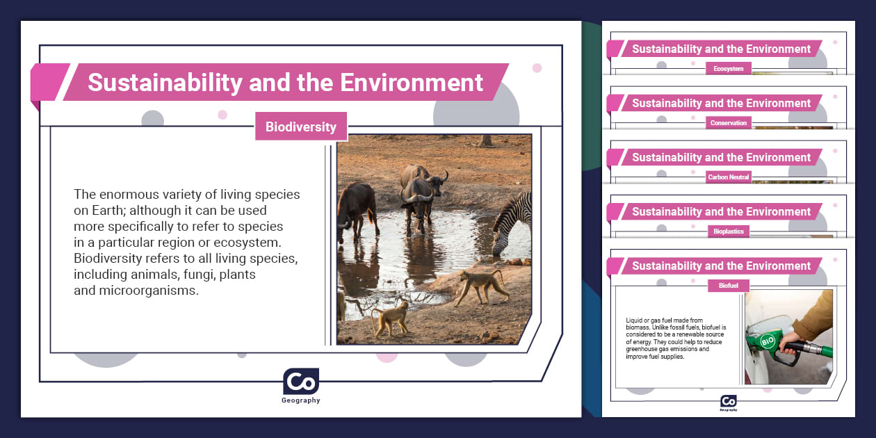 Sustainability and the Environment Display Posters - Twinkl