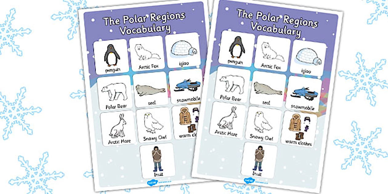 Polar Regions Vocabulary Poster (teacher made) - Twinkl
