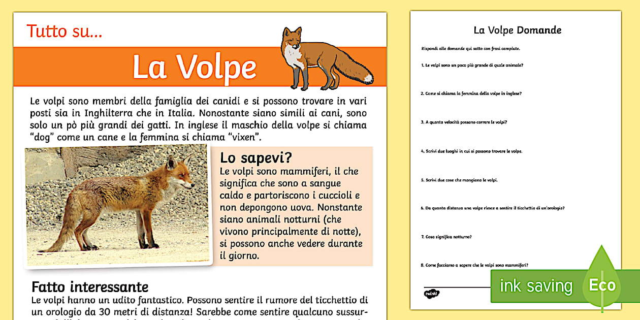 La Volpe Letteratura Comprensiva (teacher made) - Twinkl