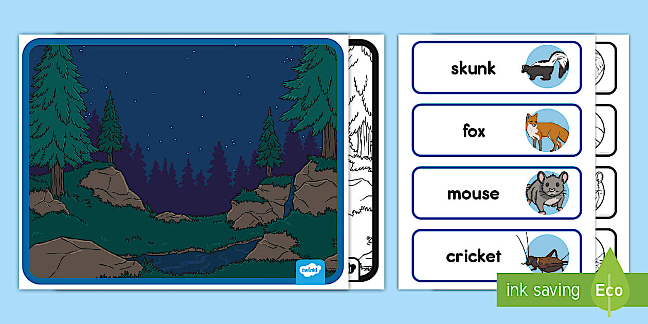 Nocturnal Animals Anchor Chart and Word Cards (teacher made)