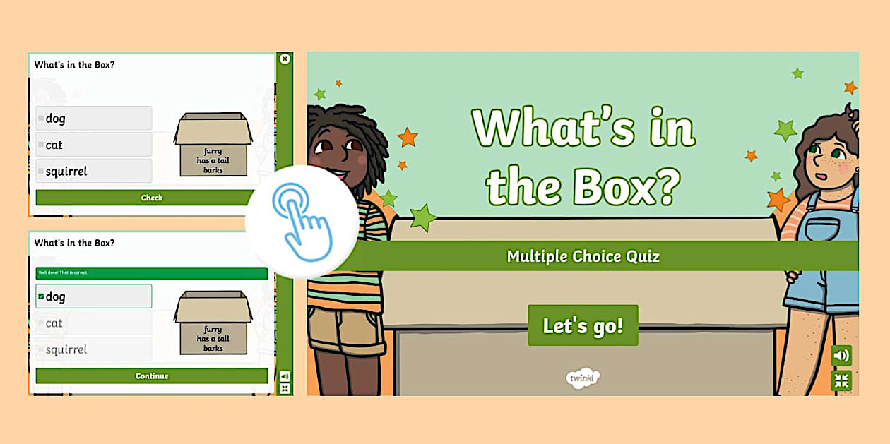 What's in the Box? Multiple Choice Quiz (teacher made)